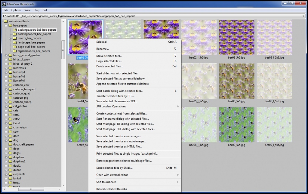 IrfanView Free Image Viewer