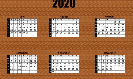 2020 A4 Calendar Template with Picture Space.